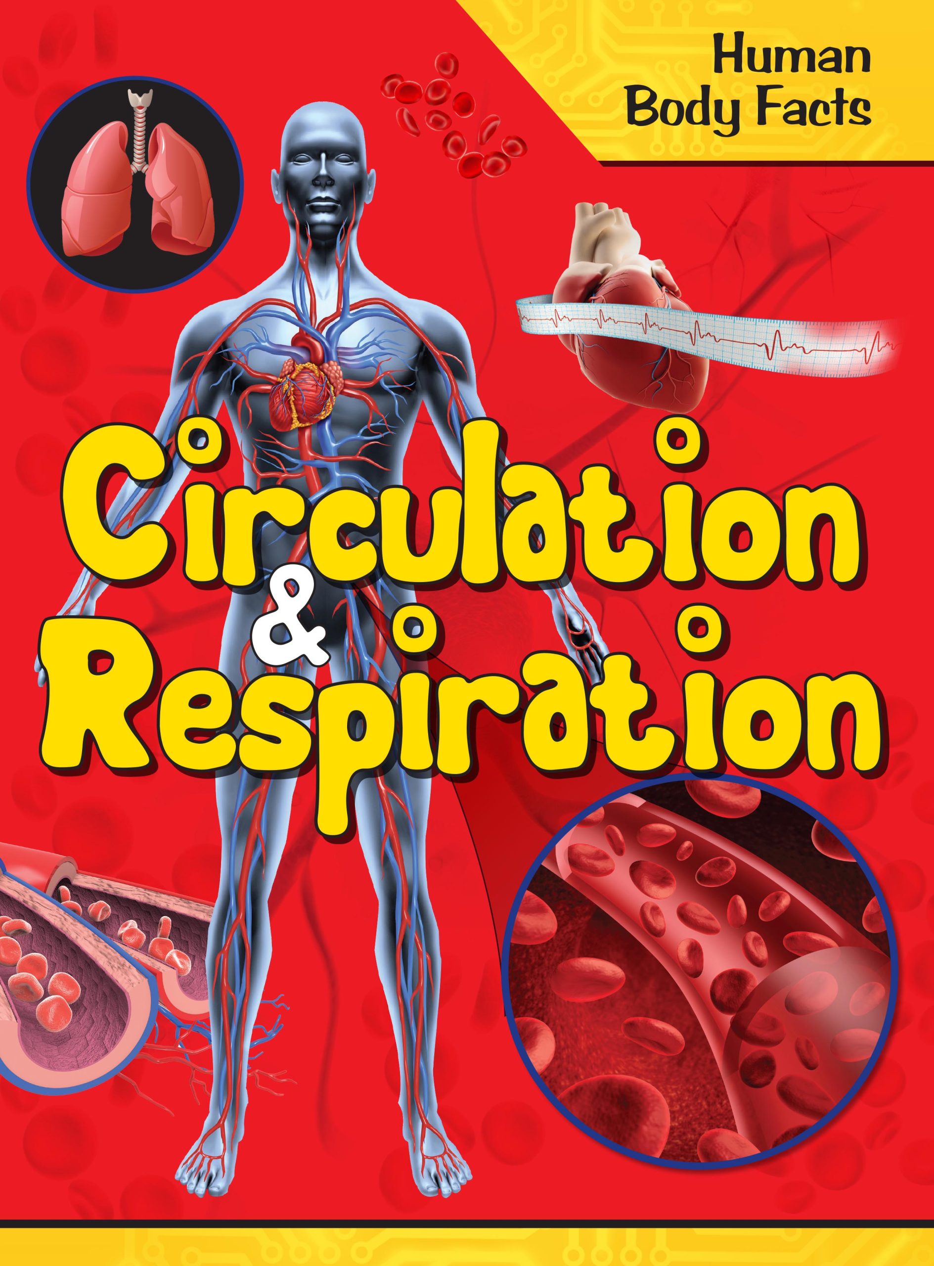 Circulation & Respiration : Human Body Facts | Om Book Shop